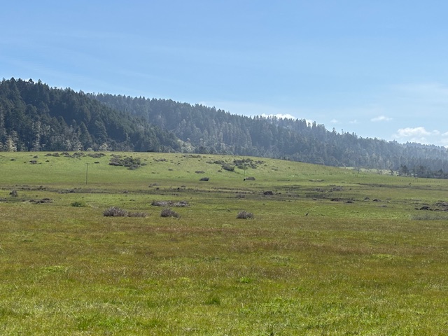 On the Marine Terrace – The Pacific Star Fault and Tectonic Landforms ...