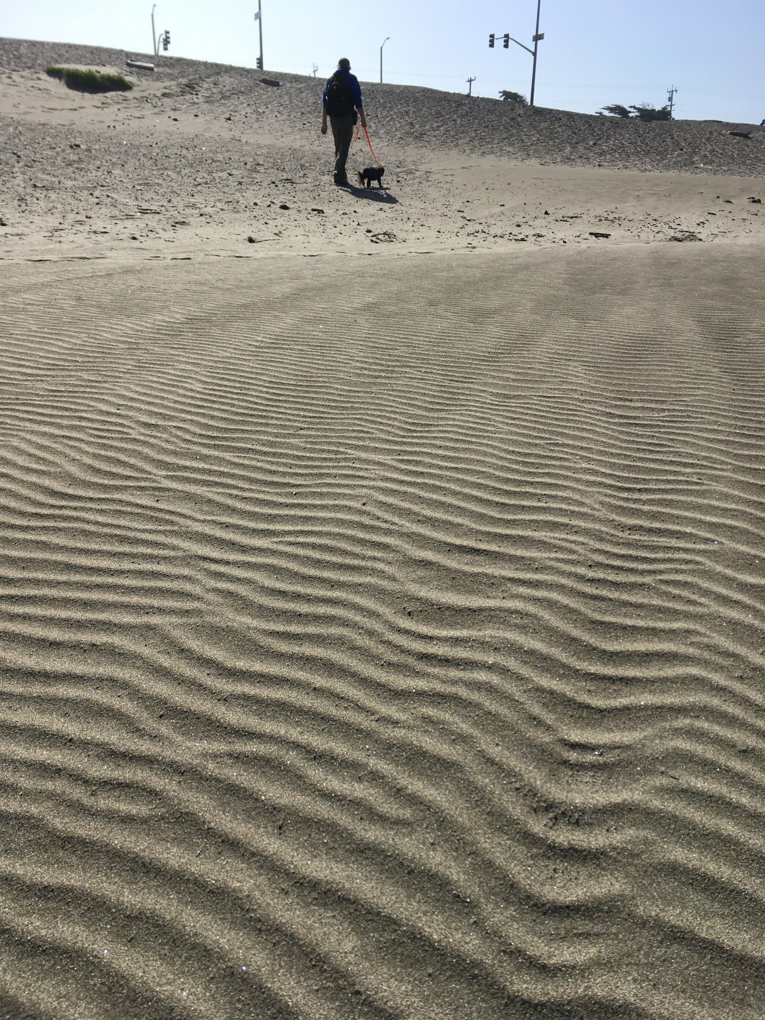Geomorphography: Bedform – Cal Geographic