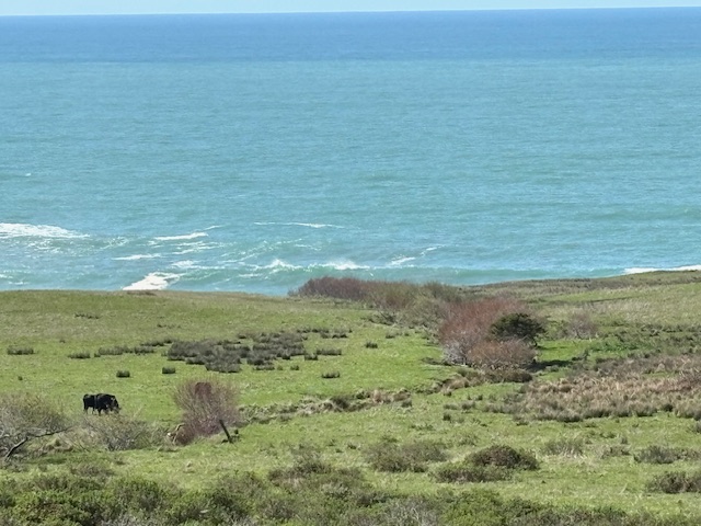 On the Marine Terrace – The Pacific Star Fault and Tectonic Landforms ...