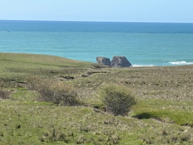 On the Marine Terrace – The Pacific Star Fault and Tectonic Landforms ...