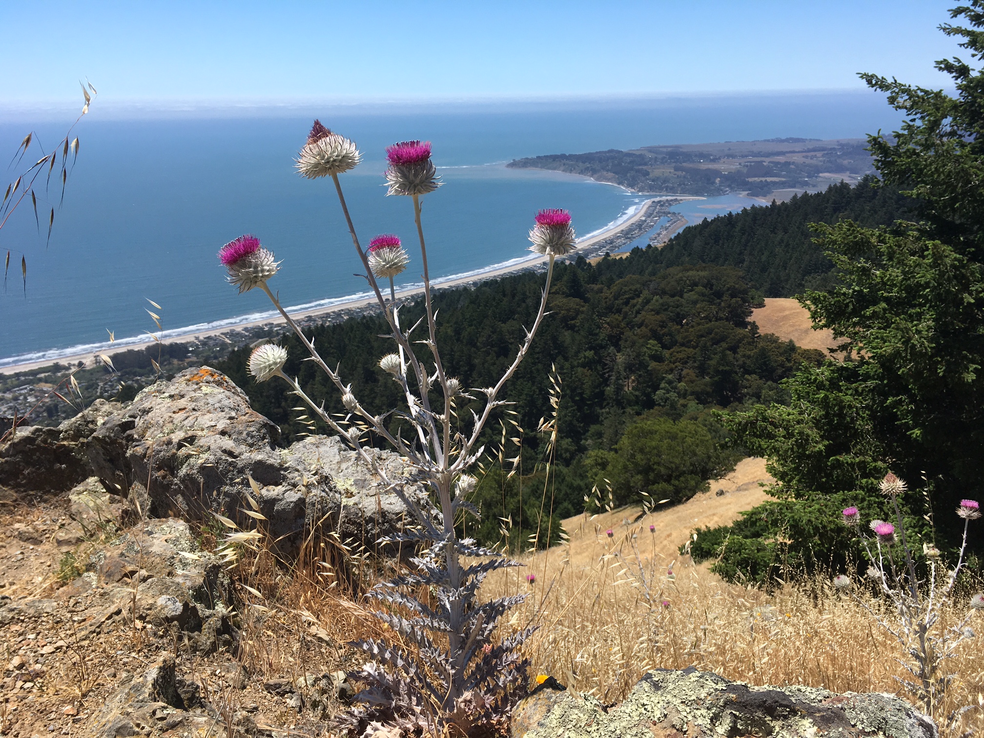 Earthquake Country: Mount Tamalpais Blind Thrust Fault – Cal Geographic