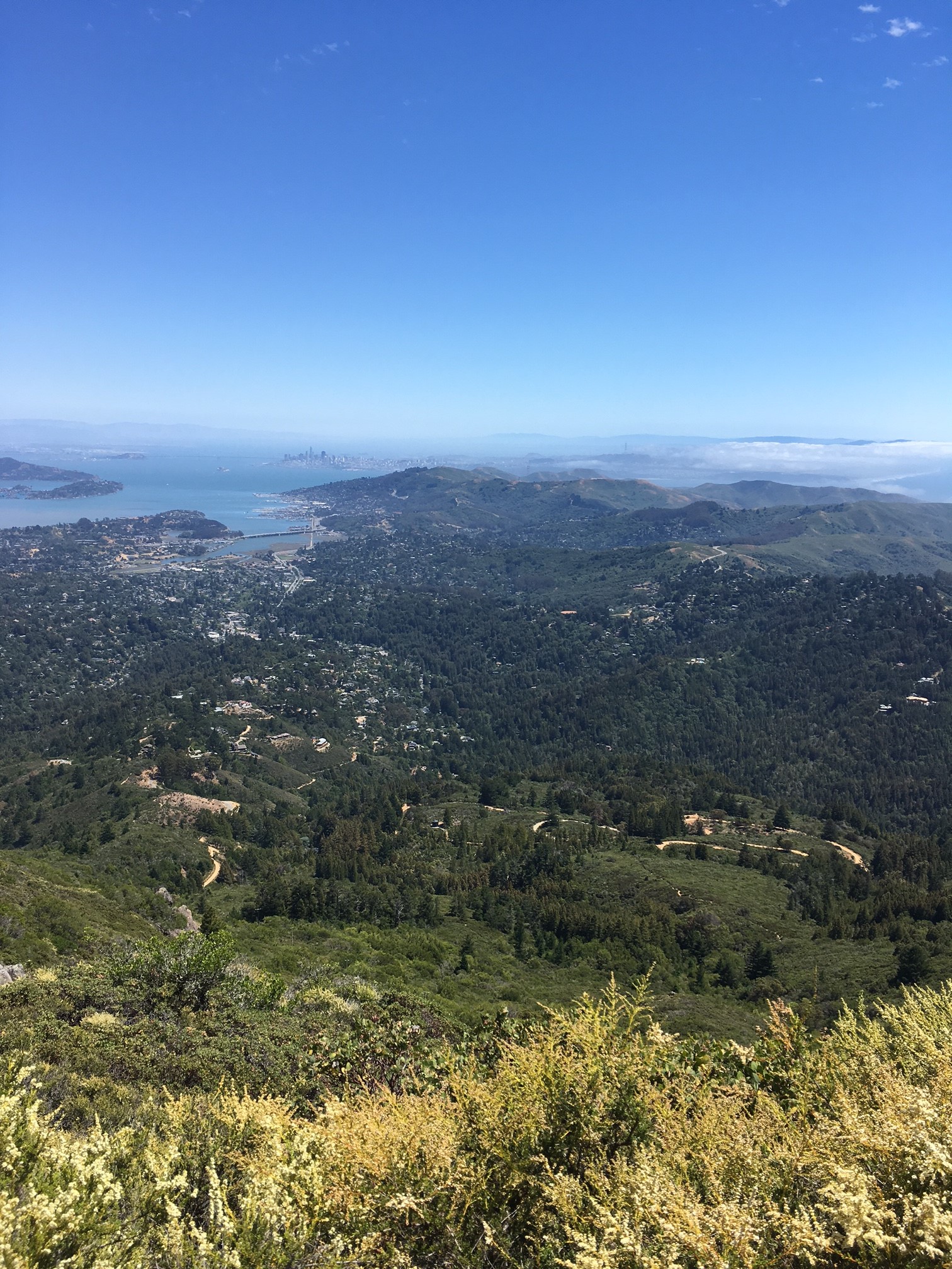 Earthquake Country: Mount Tamalpais Blind Thrust Fault – Cal Geographic