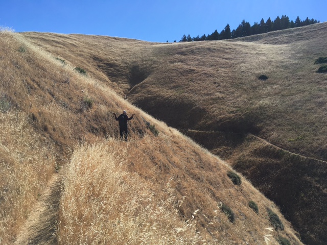 Earthquake Country: Mount Tamalpais Blind Thrust Fault – Cal Geographic