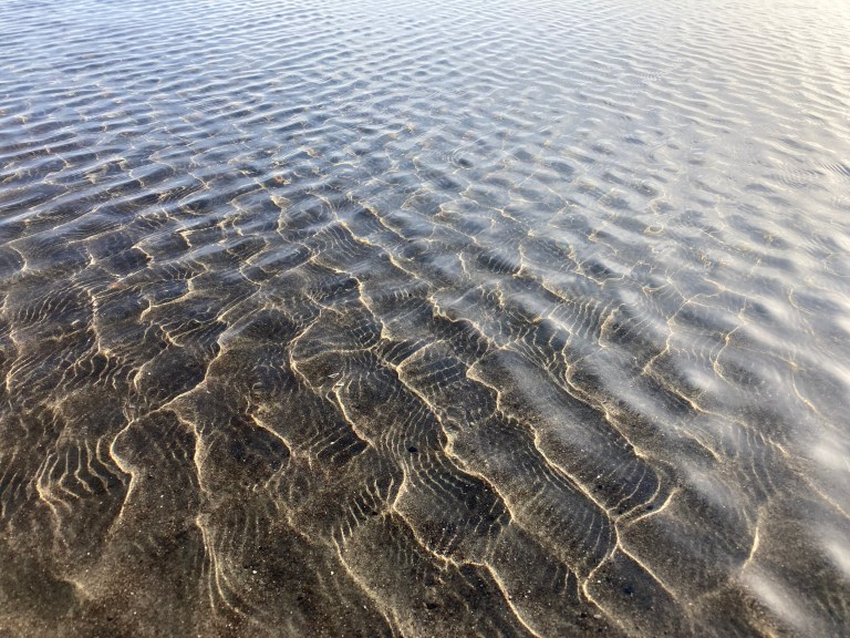 Geomorphography: Bedform – Cal Geographic