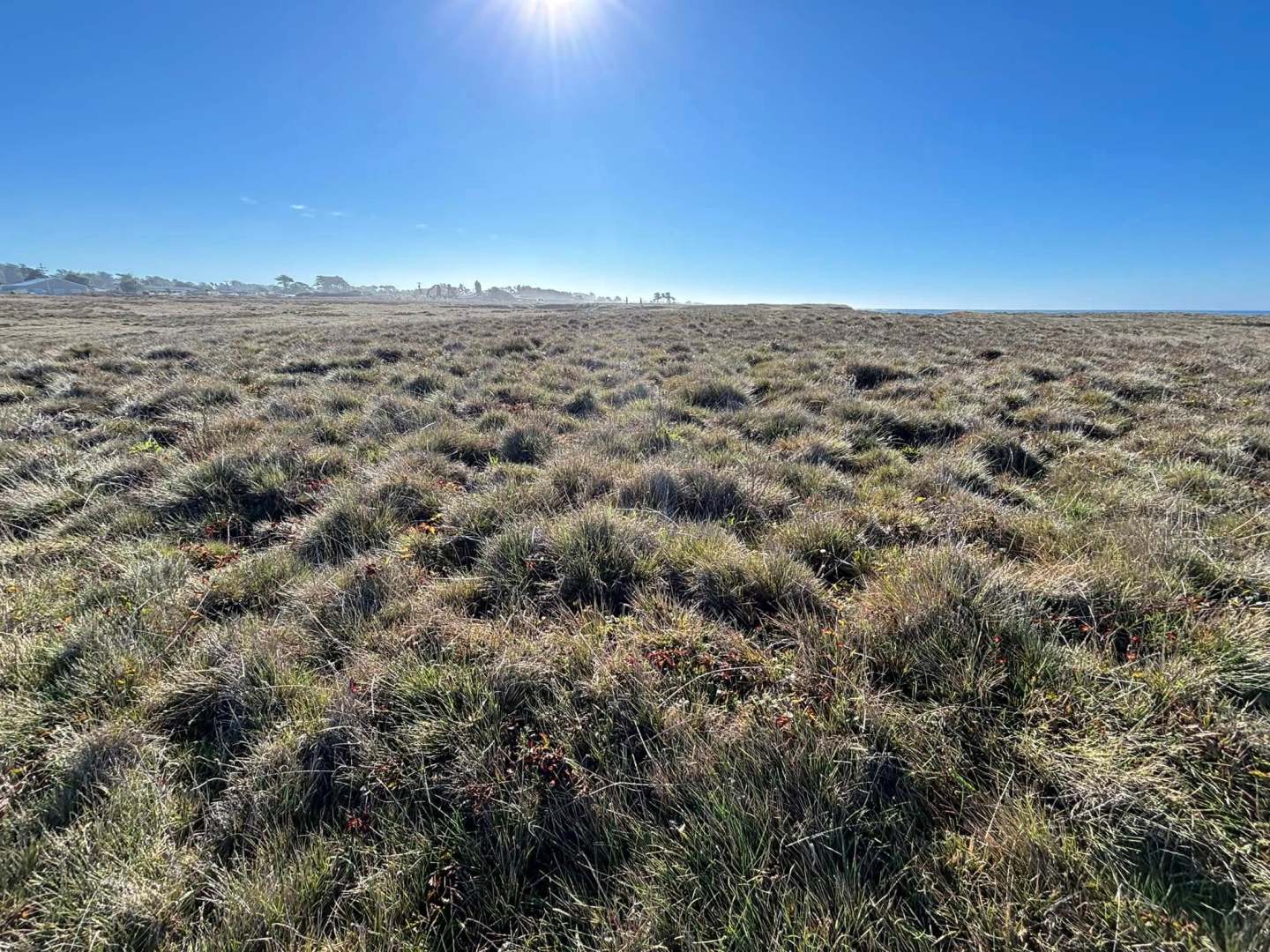 California’s Coastal Prairies – Cal Geographic